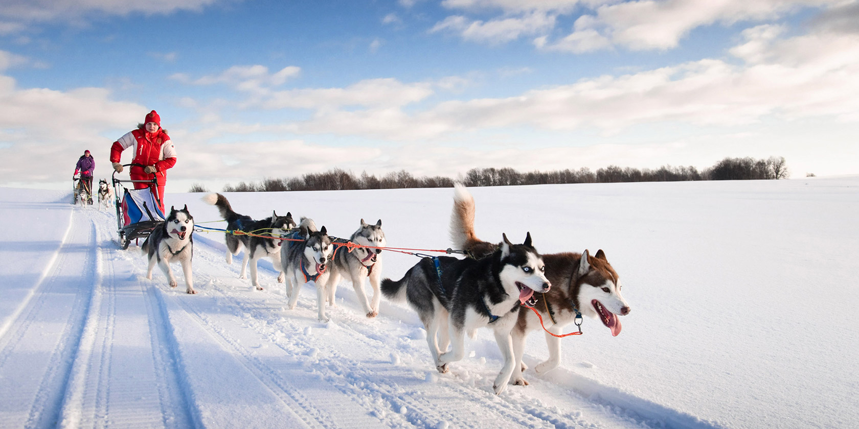 Tour | Huskies and the Northern Lights | Rail Discoveries | 21NHW